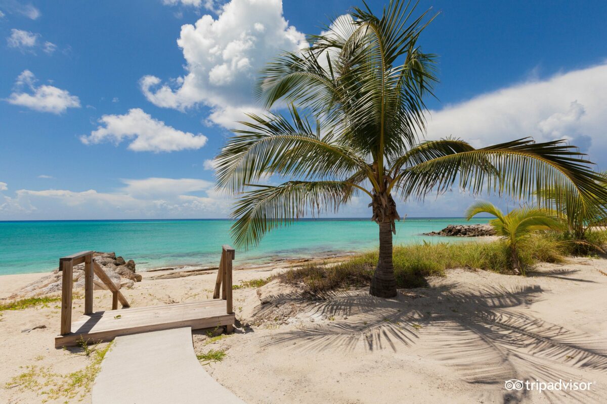 About - Bimini Cove Resort & Marina